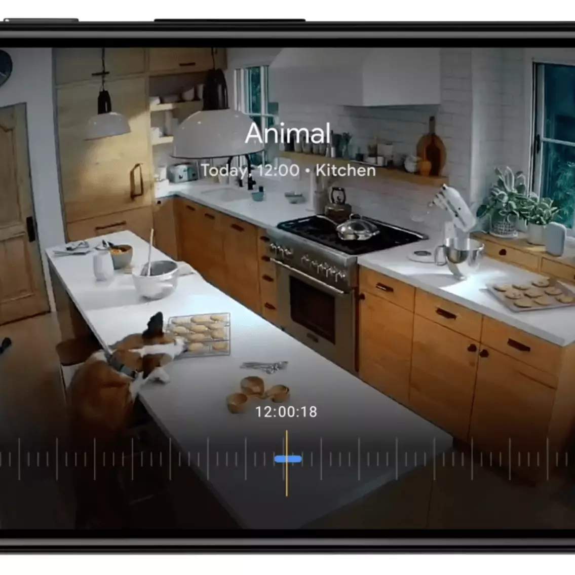 Nest Cams, Doorbell imafuna pulogalamu ya Google Home 1100_3