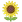 :tournesol: