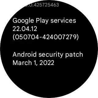 Wear OS 3.2 иштеп чыгуучунун алдын ала кароосу көп деле өзгөрбөйт 1625_5