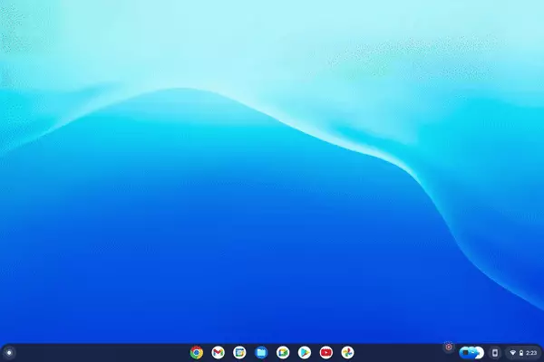 “Chrome OS” üçin bug: gameserli oýunlar bilen el-ele [Wideo] 1939_8