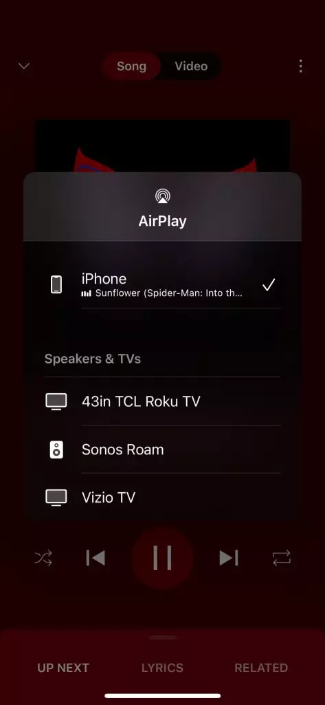 iOS 16 mungkin menambah baik sokongan Chromecast 2045_4