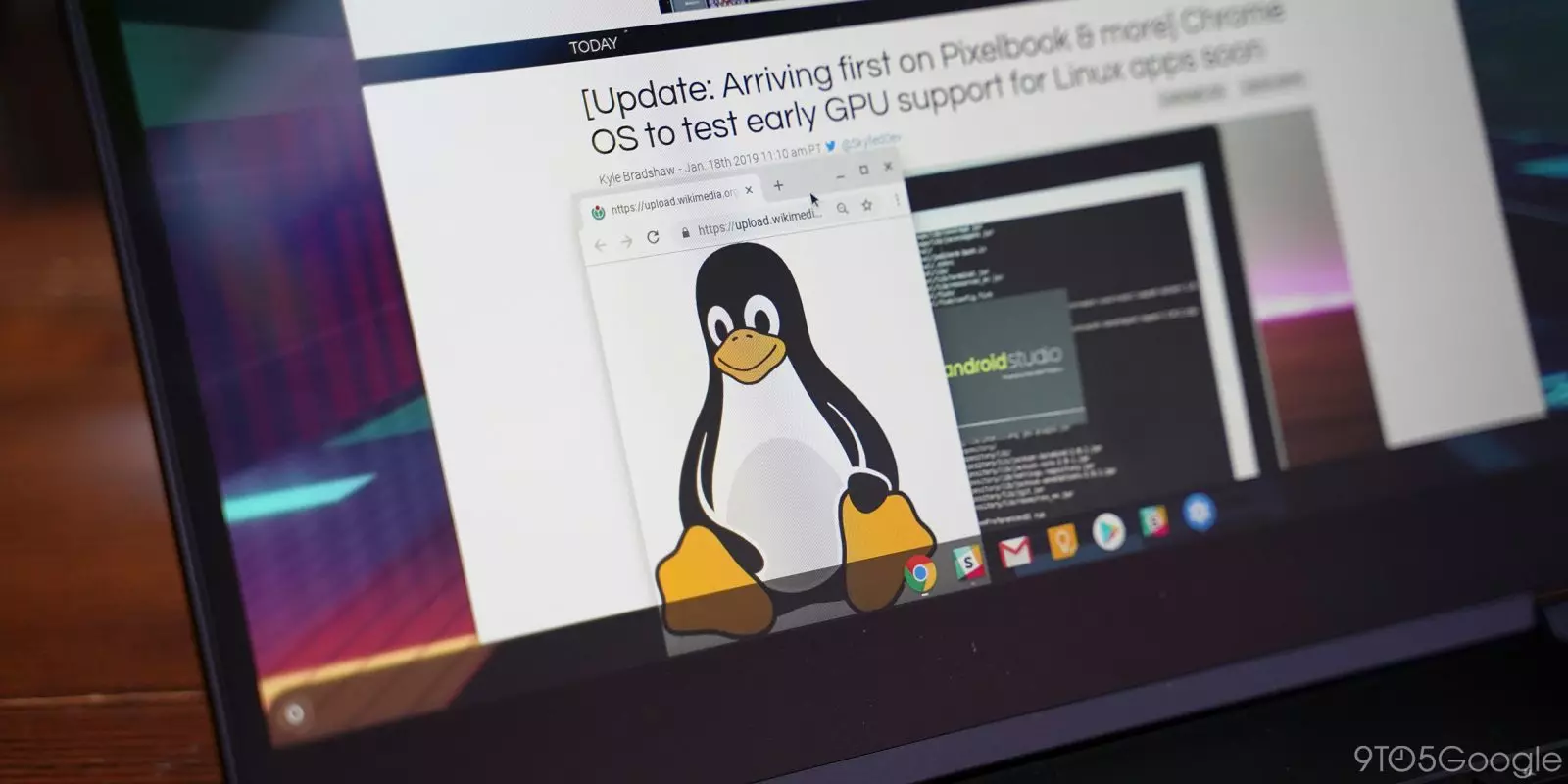 Chrome OS Linux