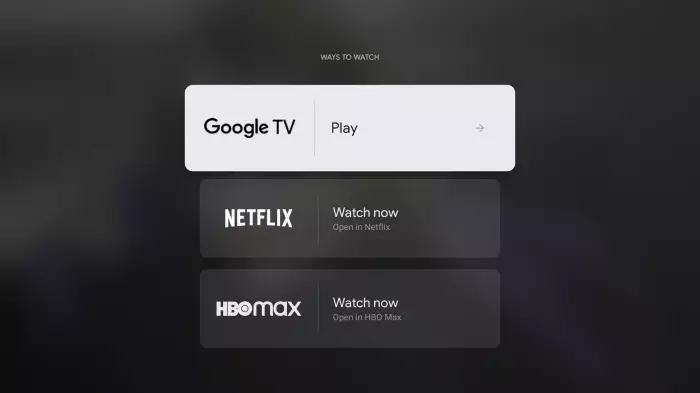 NetflixディレクトリがGoogleTVを搭載したChromecastに戻ります 2333_3