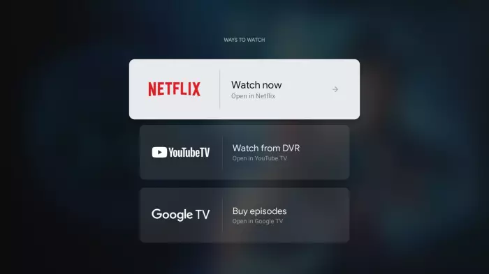 Das Netflix-Verzeichnis kehrt mit Google TV auf Chromecast zurück 2333_4