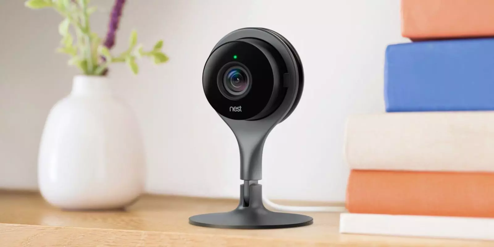 I-Nest Cam Ngaphakathi