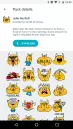 Google Allo בעצם חושף את כל ההדלפות האחרונות, הנה כל מה שאנחנו יודעים [גלריה] 42816_2