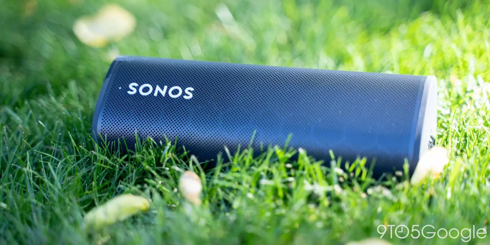 sonos roam