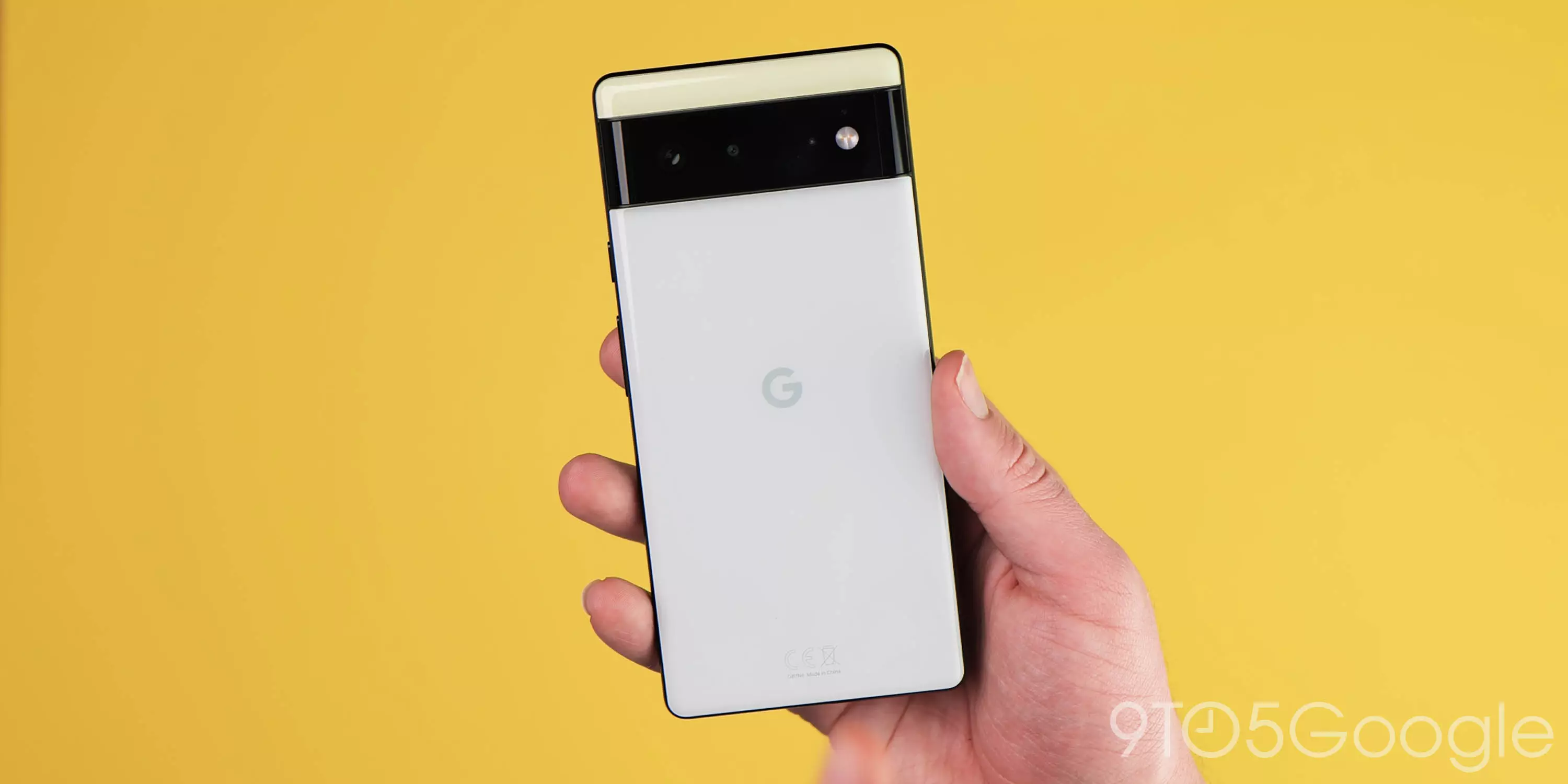 Hai acquistato il modello Pixel 6 