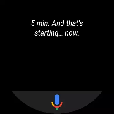 L-issettjar ta' tajmer fuq Wear OS ma' Google Assistant huwa miksur 55339_3