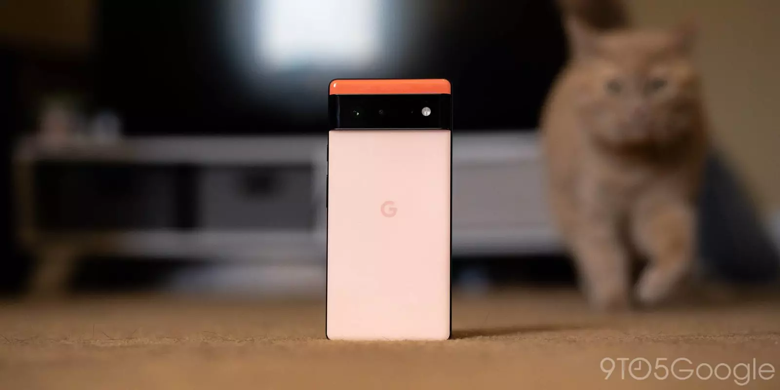 Google Pixel 6 kanthi kucing ing latar mburi