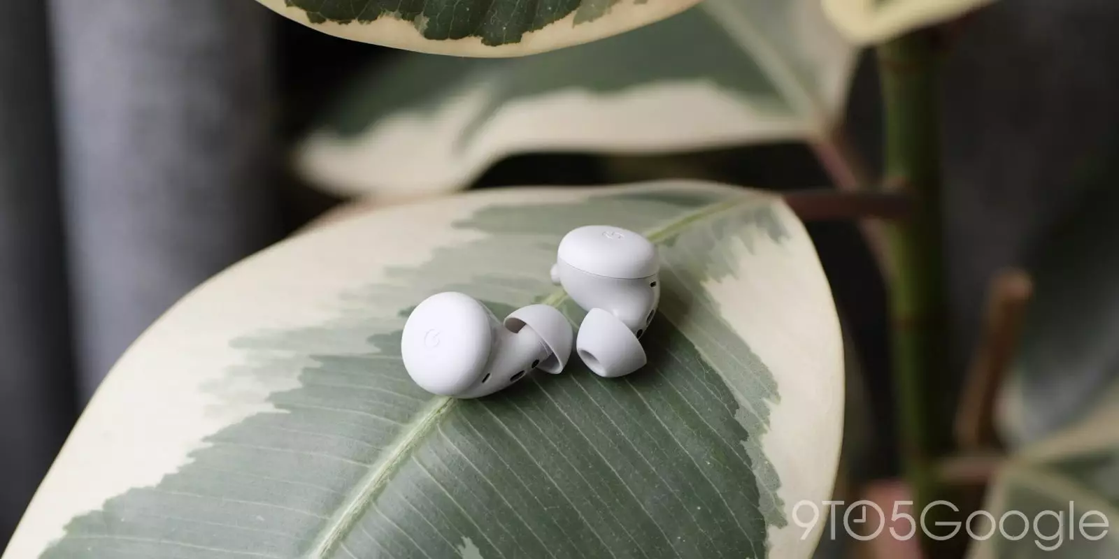 Google melancarkan kemas kini perisian tegar Pixel Buds A-Series yang pertama 668_1