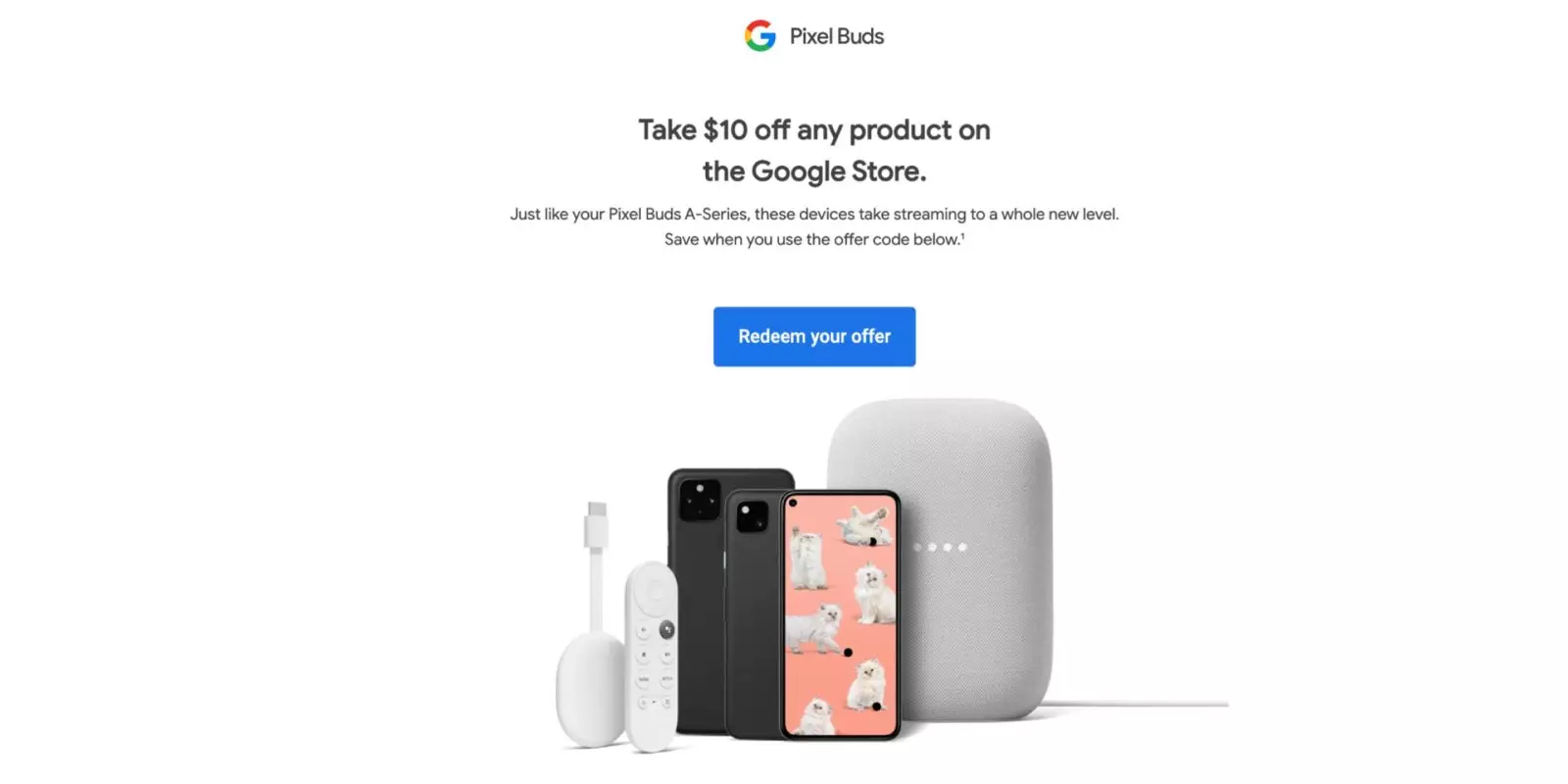 Google Store Pixel Buds