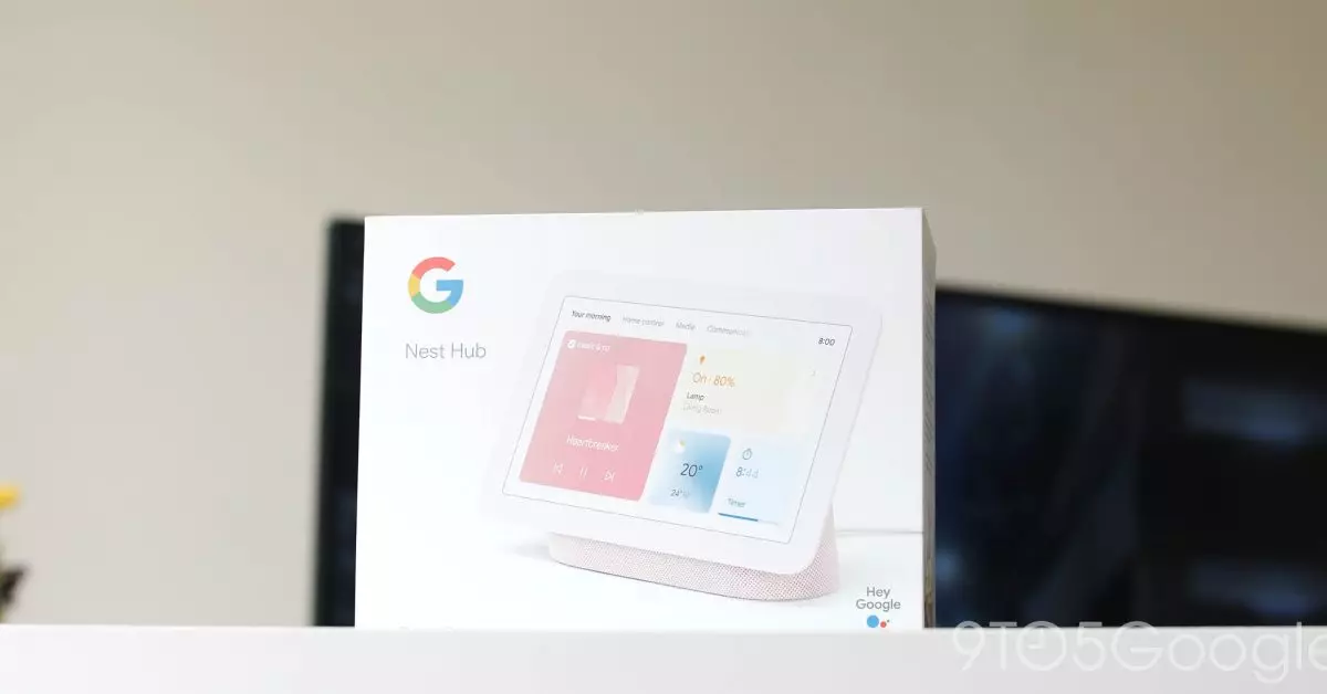 Google Weather Frog kini tersedia di Nest Hub generasi ke-2