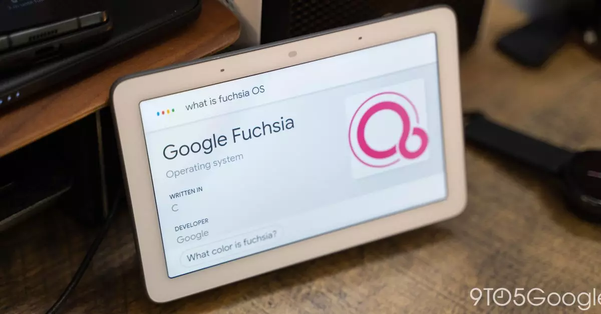 Nest Hub zmienia kolor na fioletowy po aktualizacji Fuchsia, oto jak to naprawić