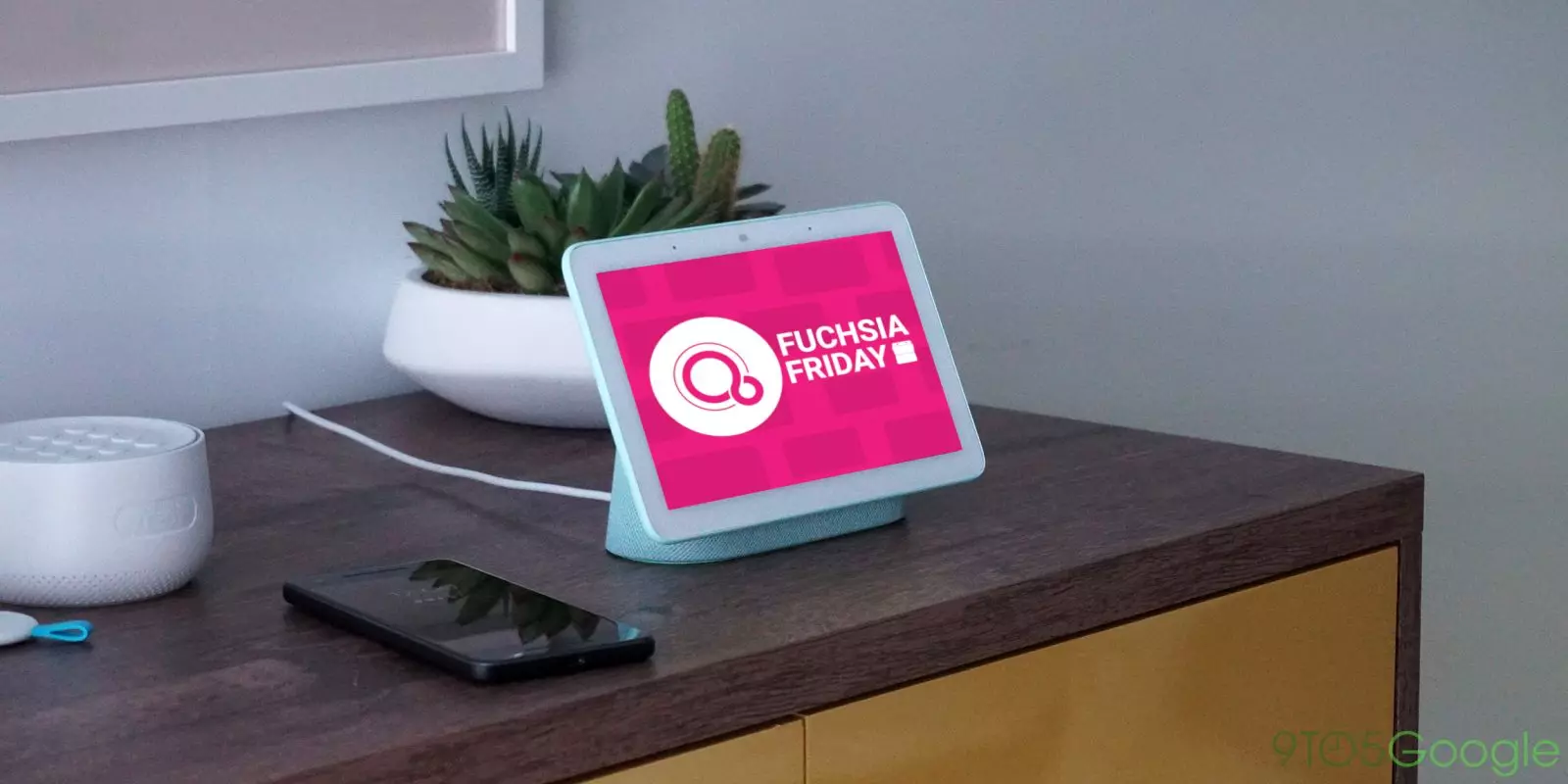 Fuchsia Home Hub