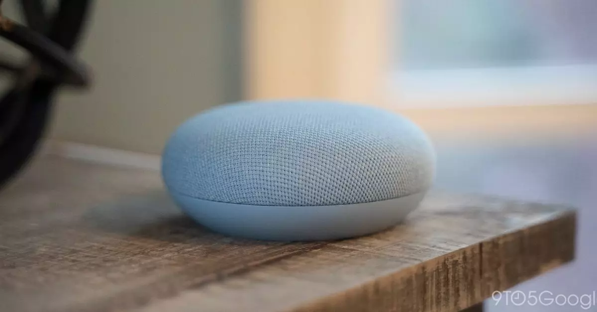 Google Nest Mini-ի ակնարկ. ինչու արժե այն գնել