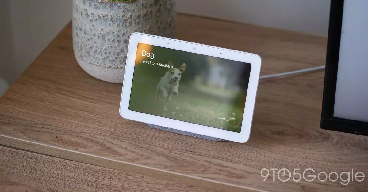 Google Nest/Home Hub xeletiya 'bê deng' hin bikarhêneran diêşîne