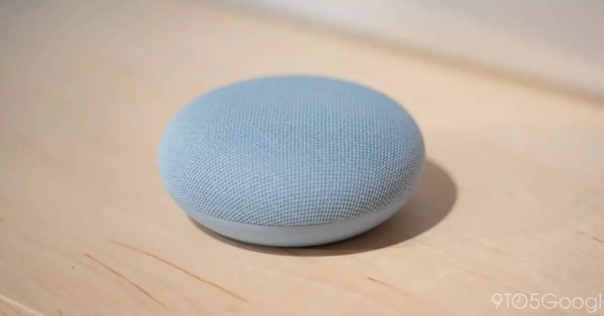 Hey Google, firotina Home Mini û Nest Mini bi hev re rawestîne